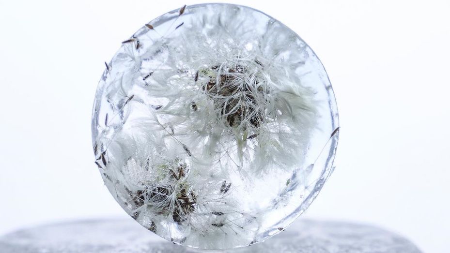 Rankin Photo Challenge: Disconnect / Photos from Week 4